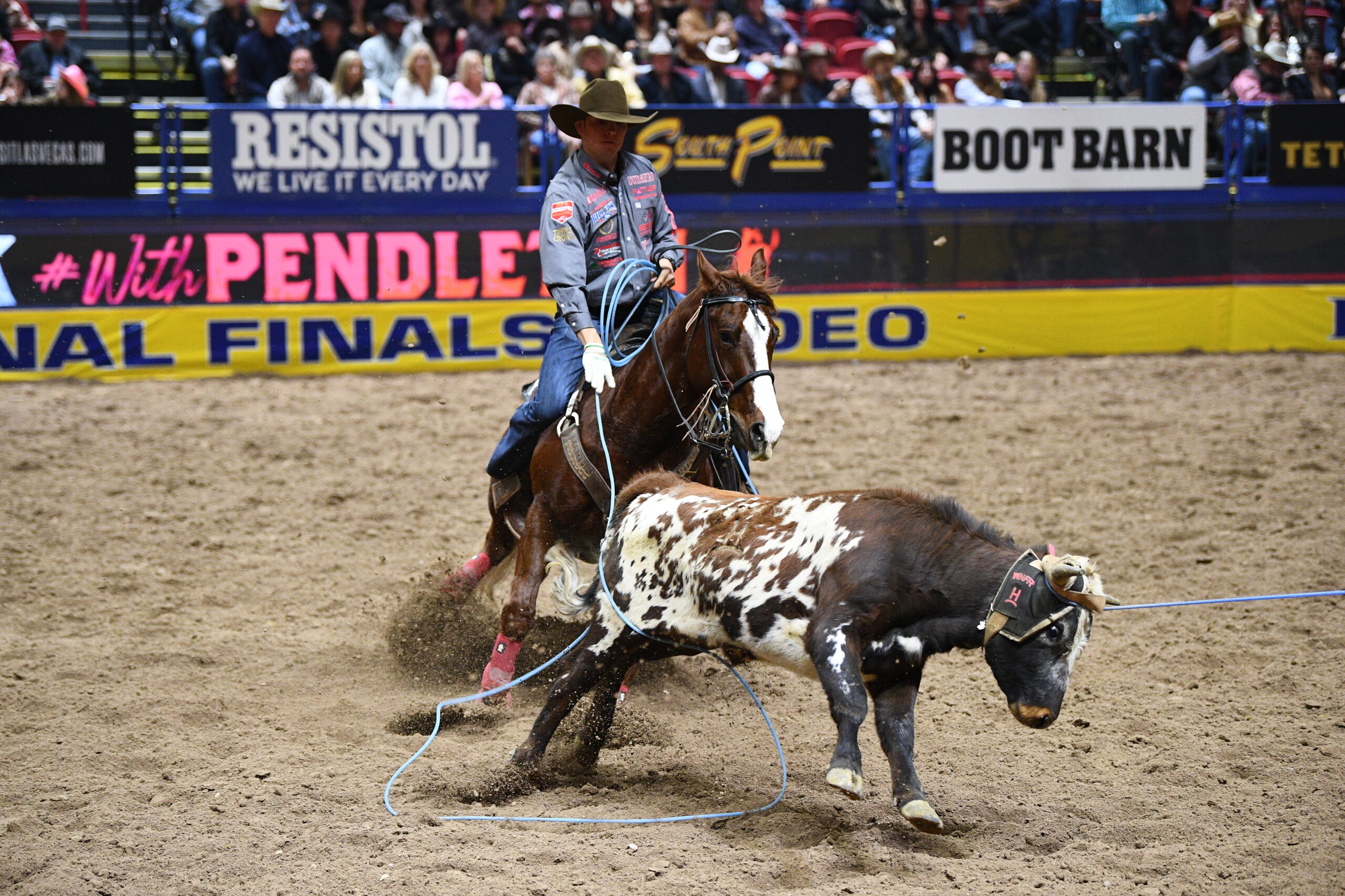 Hunter Koch - Equinety